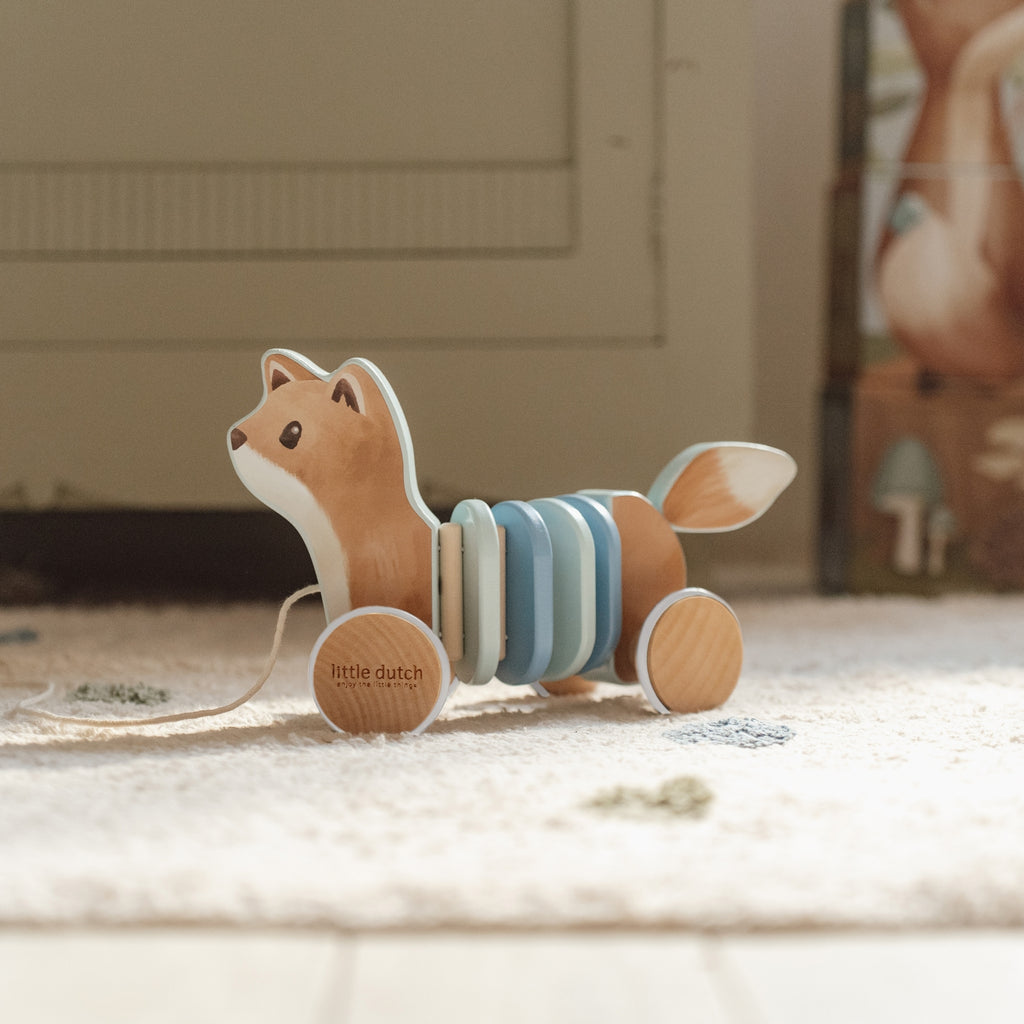 Push & Pull Along Toys | Kids' Activity and Learning Toys | Scandiborn