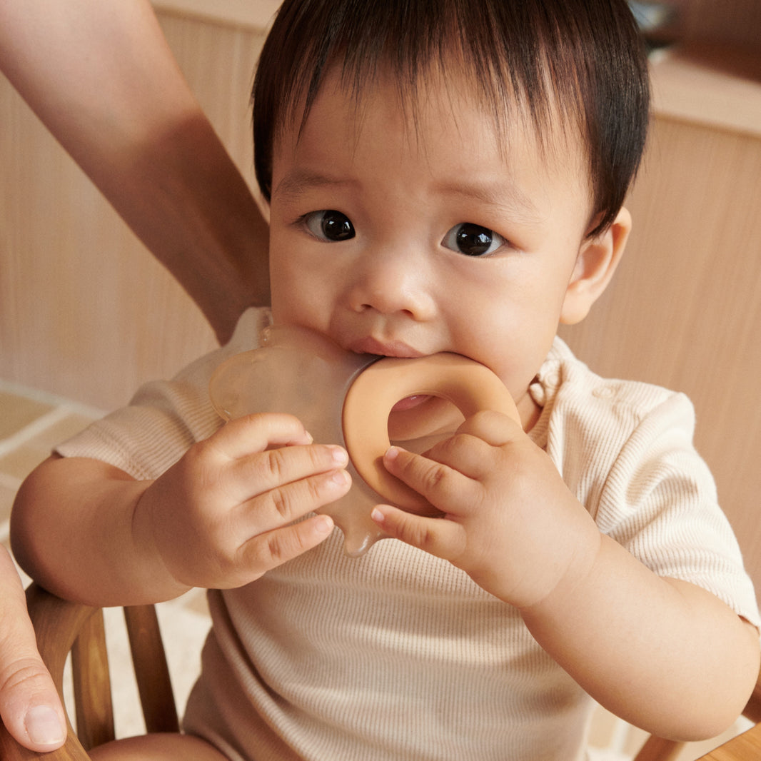 Teethers & Pacifiers | Comforting Newborn Essentials | Scandiborn